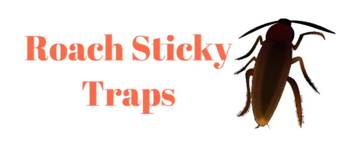 Pet Friendly Roach Killer for Home - 13 Best Bug Bomb & Spray 2019