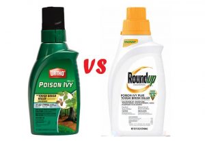 Ortho Poison Ivy Killer vs Roundup - Comparison TABLE
