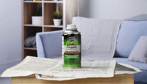 How to Use Roach Fogger - Things You Should Know