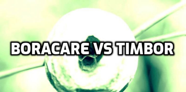 Boracare vs Timbor Insecticide - The Best Termite Treatment