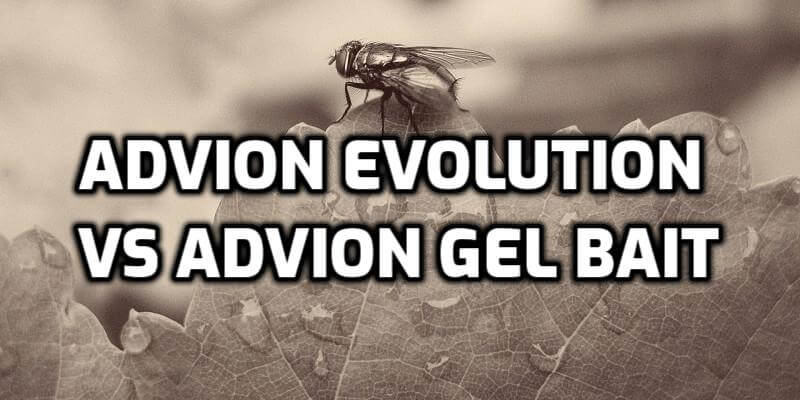 Advion Evolution vs Advion Cockroach - Battle of the Roach Gel Baits
