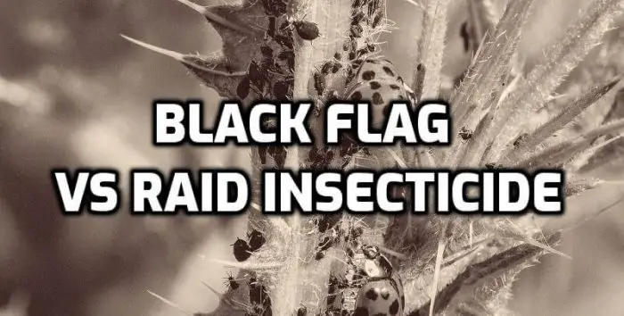 Black Flag Vs Raid Insect Killer - Comparison TABLE