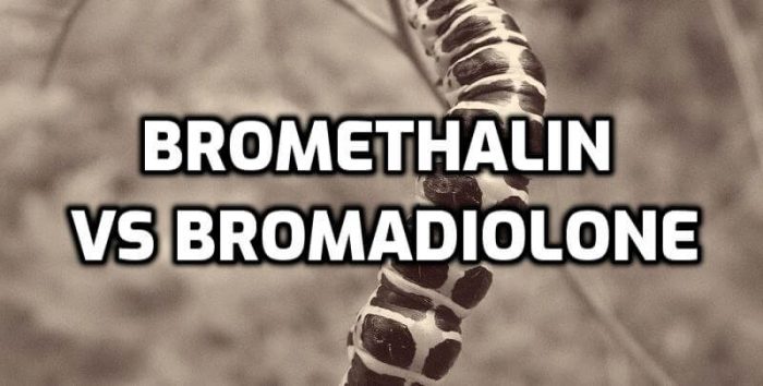 Bromethalin vs Bromadiolone: Which Rodenticide is Right for You?