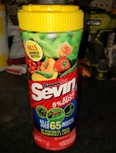 Sevin Dust vs Diatomaceous Earth - Comparison TABLE