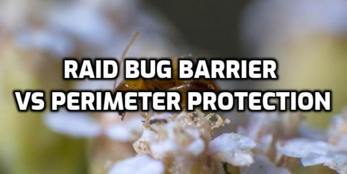 Raid Bug Barrier Vs Perimeter Protection - The Ultimate Guide