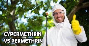 Cypermethrin vs Permethrin Insecticide - Table Chart