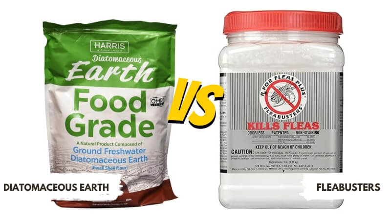 Fleabusters vs Diatomaceous Earth for Fleas - Comparison TABLE