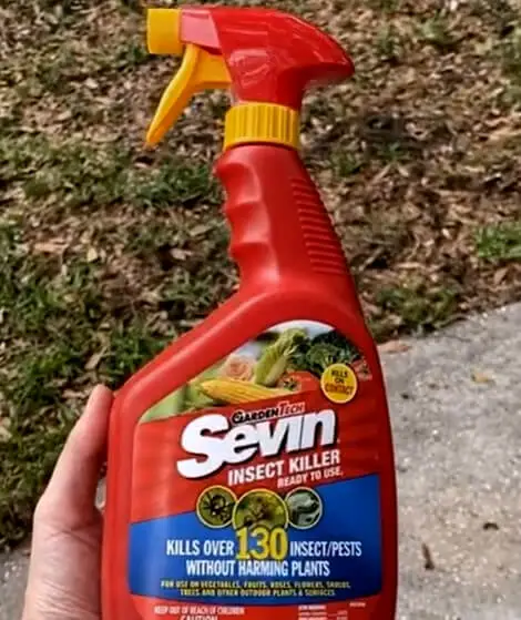 Sevin Vs Spectracide Insect Killer - Comparison TABLE