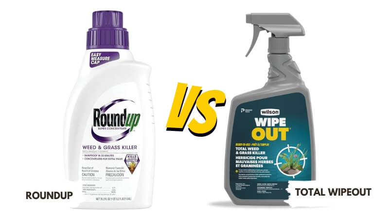 Total Wipeout Vs Roundup - Comparison TABLE