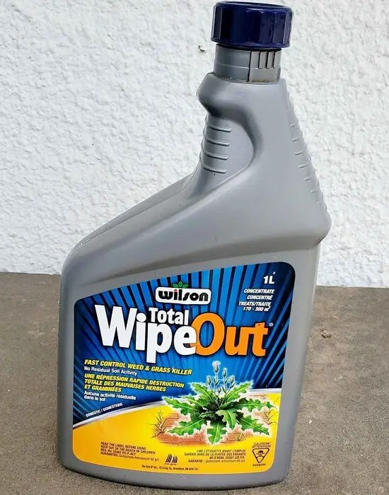 Total Wipeout Vs Roundup - Comparison TABLE