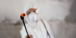 Beta Cyfluthrin Vs Bifenthrin Insecticide - Comparison TABLE