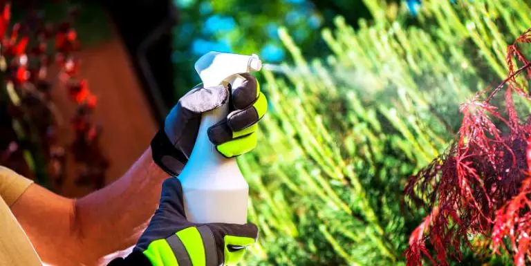 Bifenthrin Vs Imidacloprid Insecticide - Comparison TABLE