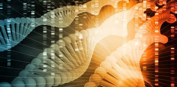 Cockroach Genome Sequencing - Resilient Insect