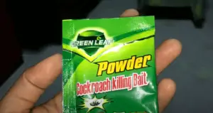 Green Leaf Powder Cockroach Killing Bait Reviews - Expert Review
