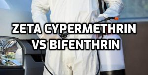 Zeta Cypermethrin Vs Bifenthrin For Pest Control - Best Roach Killer
