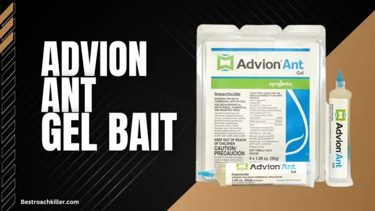 Advion Ant Gel Review - Expert Perspective