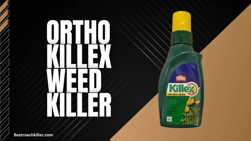 Ortho Killex Lawn Weed Killer - Definitive Guide