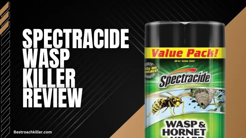 Spectracide Wasp and Hornet Killer Review - Expert Perspective