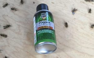 Hot Shot vs Raid Fogger - TABLE Chart